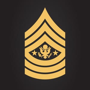 Army Enlisted Rank Insignia | 48 File Set (digital Download) - Etsy