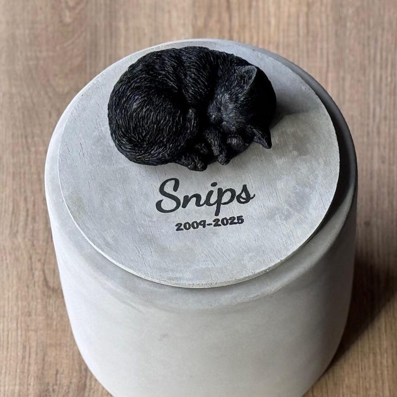 Black Sphynx Urn - Etsy