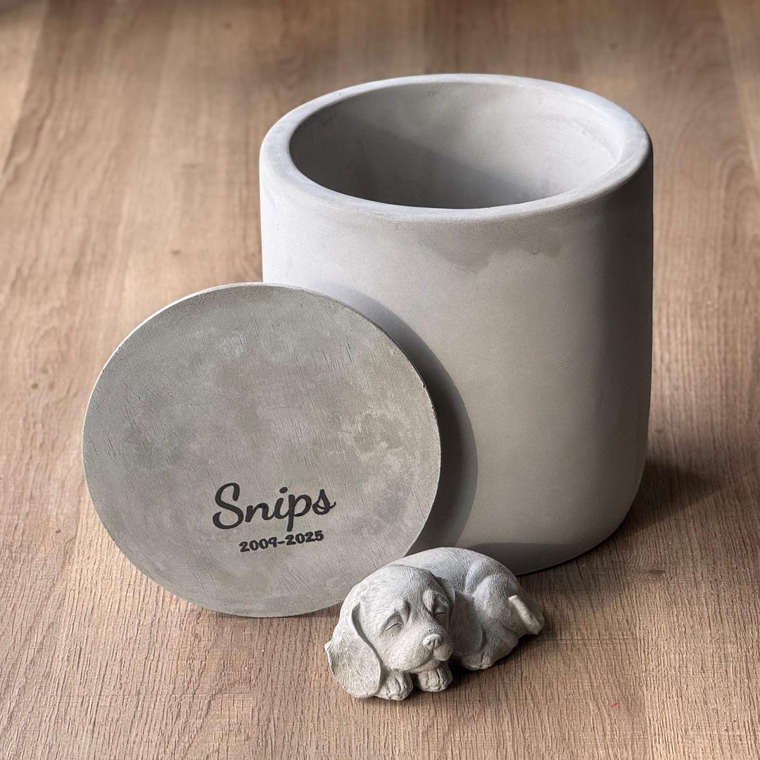 Personalized Concrete Dachshund Urn, Pet Cremation Memorial Box - Etsy