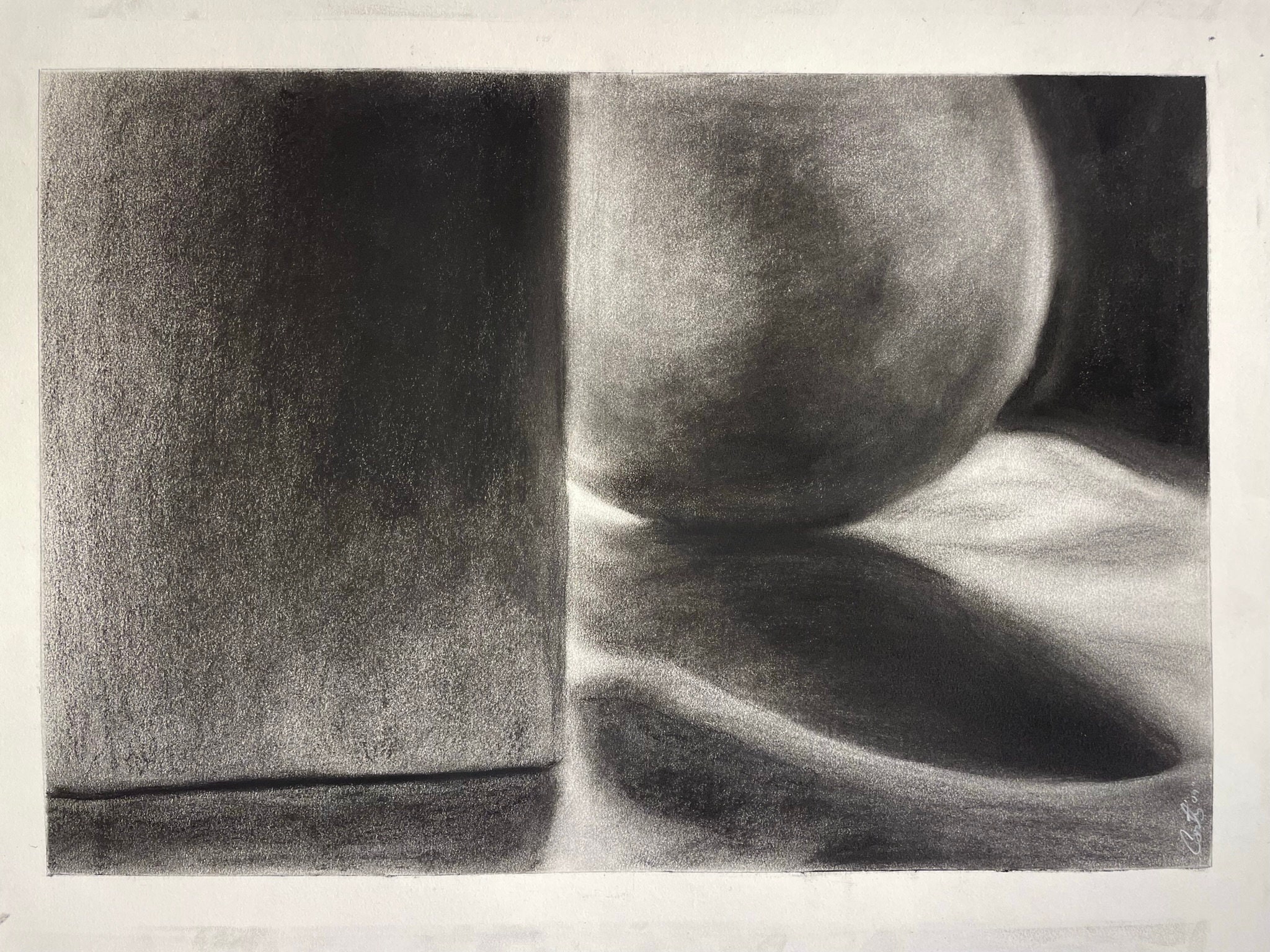 Charcoal Drawing Still Life