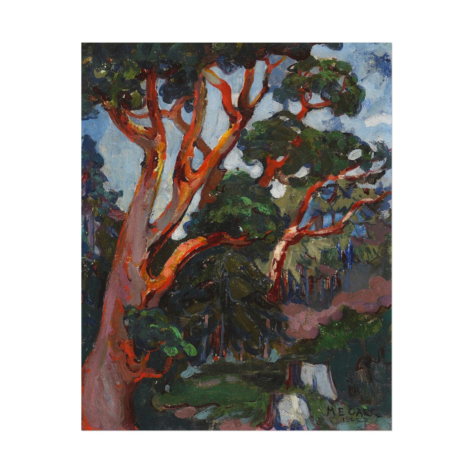 Emily Carr, 'arbutus Tree' (1922) - Gallery Wall Print in Watercolor ...
