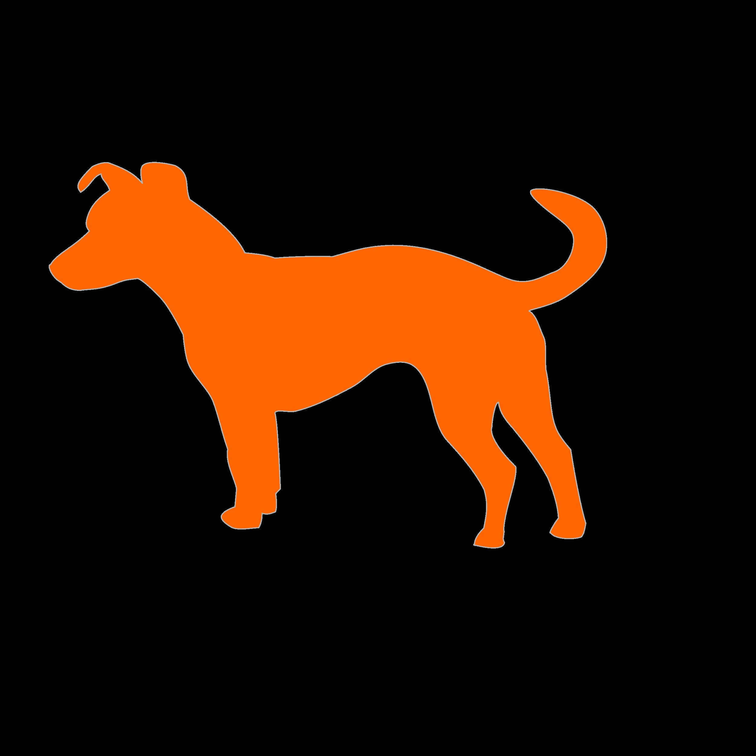 24 Jack Russell Dog Stickers, Envelope, Jar, Box Stickers. Labels for ...