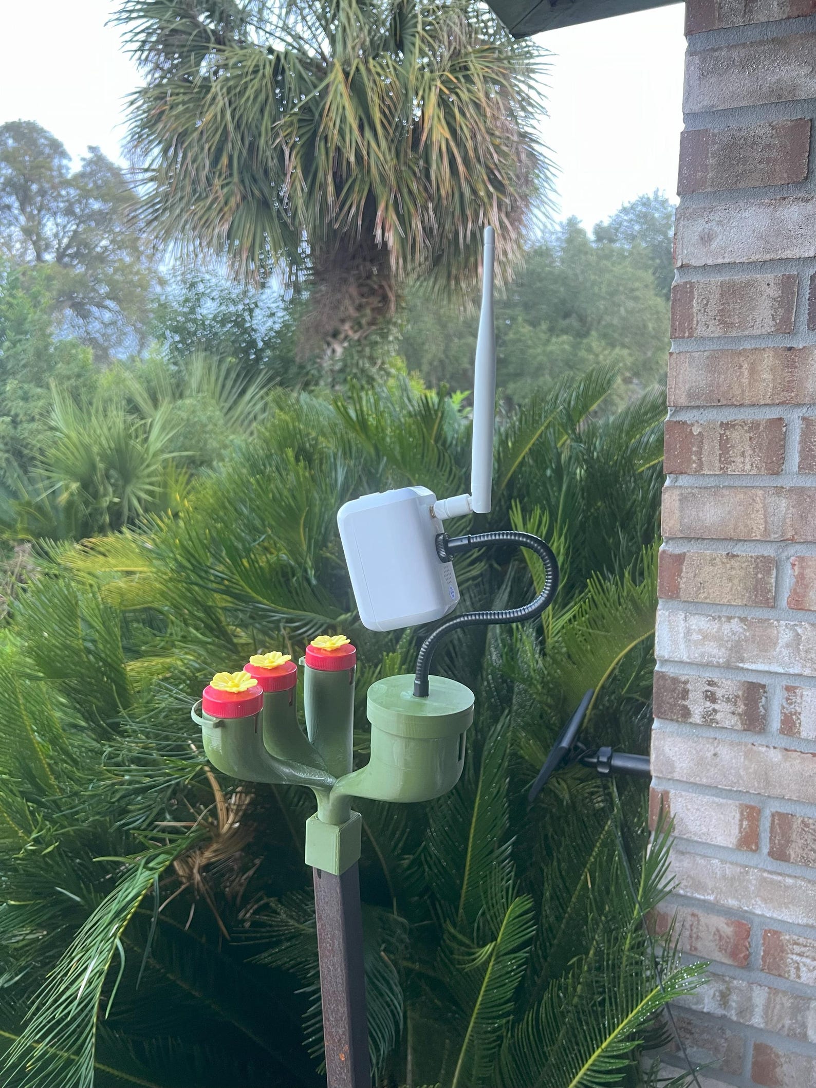 Hummingbird Feeder Ring and Birdfy and Blink Camera Compatible - Etsy