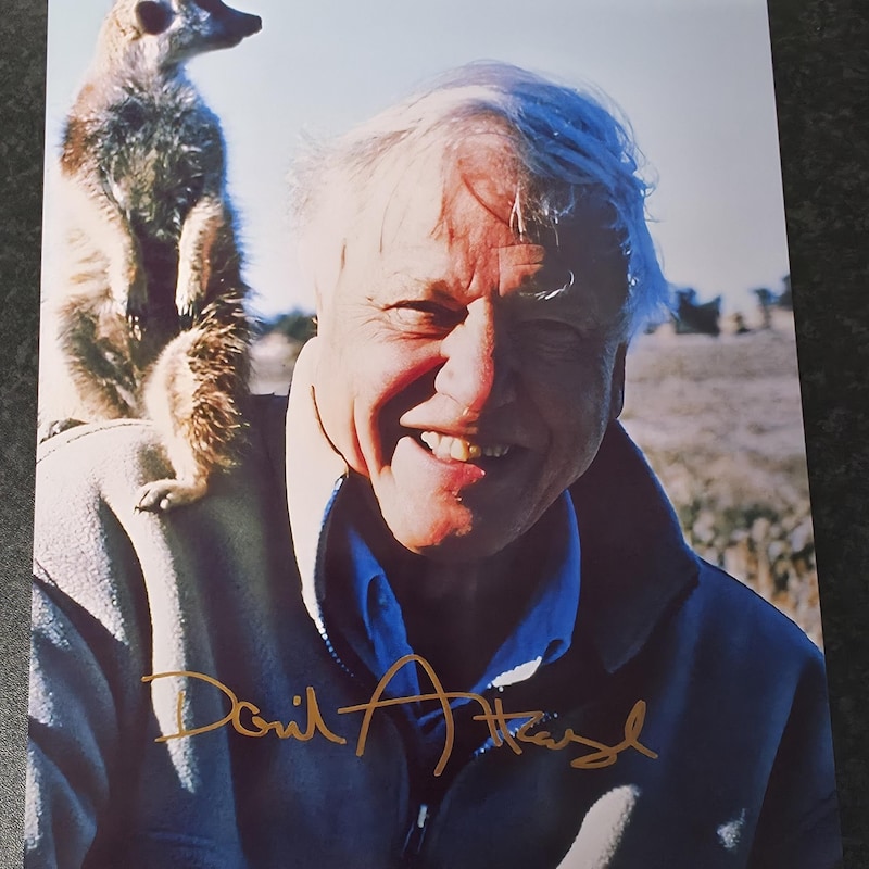 David Attenborough Lesson - Etsy Australia