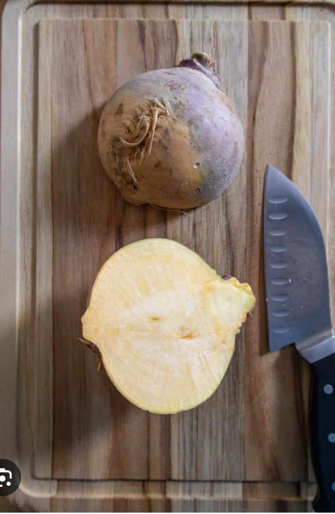 Hellenor Rutabaga Seeds, Organic - Etsy