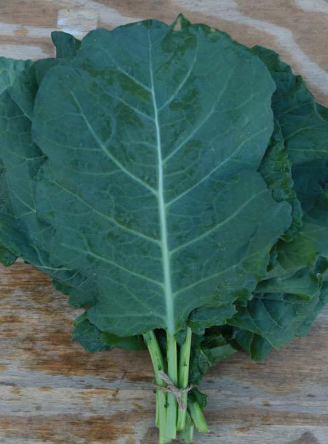 Flash Collard Green Seeds - Etsy