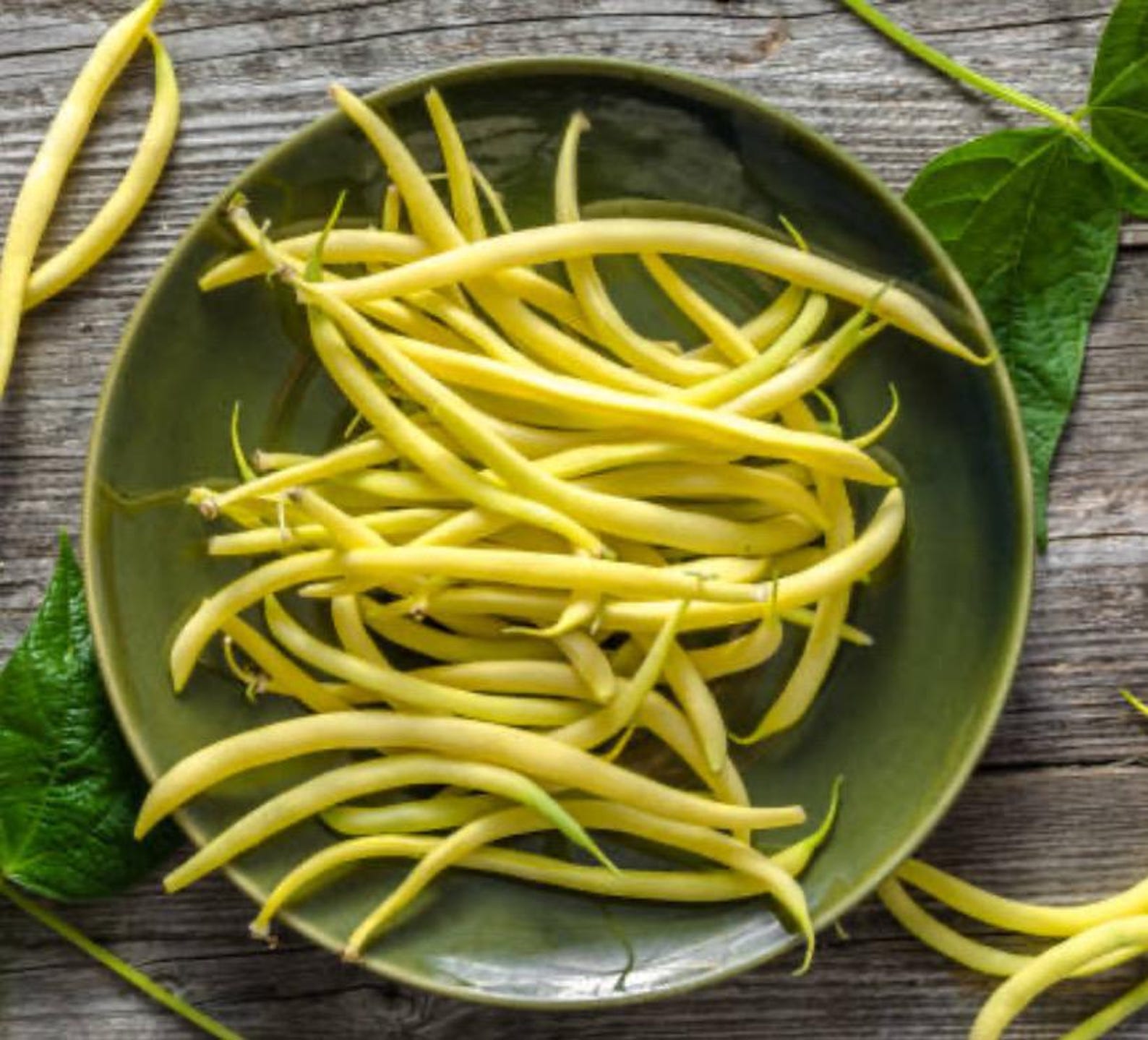 Rocdor Yellow Bean Seeds, Organic, Bush - Etsy