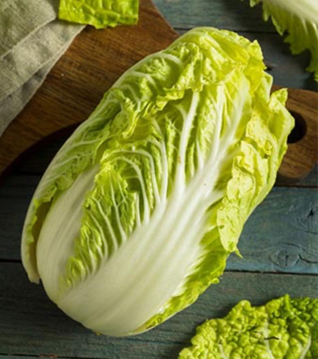 Minuet Napa Chinese Cabbage Seed, Organic - Etsy