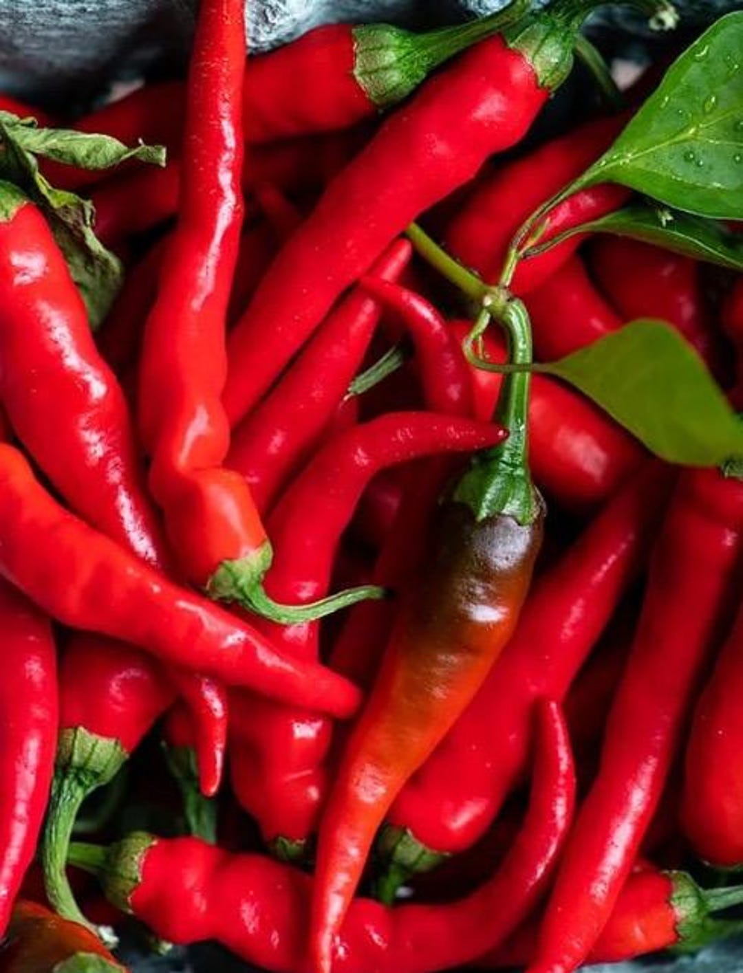 Joe’s Long Cayenne Hot Pepper Seeds, Organic - Etsy