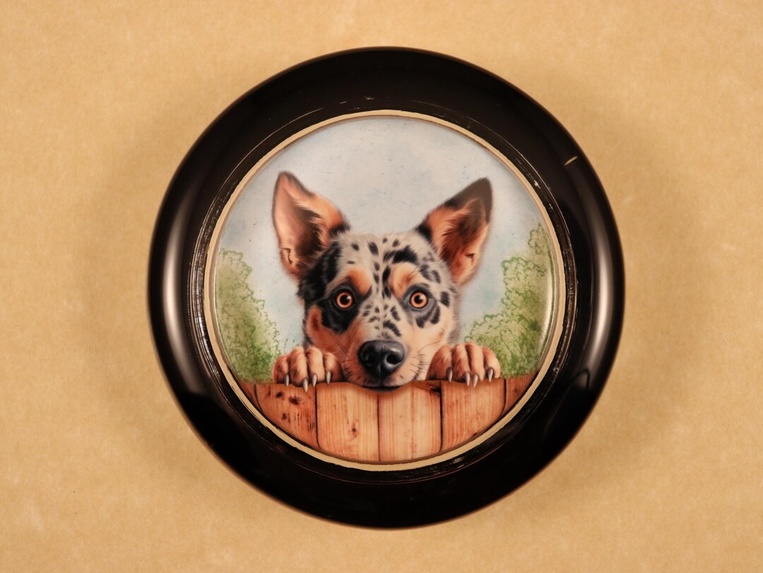 Australian Cattle Dog, Cattle Dog Portrait, Dog Paperweight, Round ...