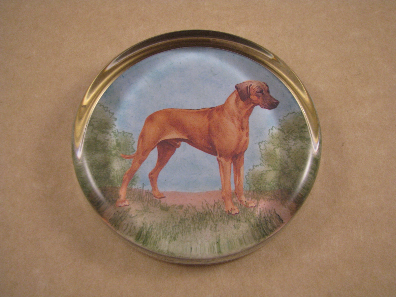 Glass Paperweight Dog Paperweight Large Round Ridgeback Portrait Desk ...