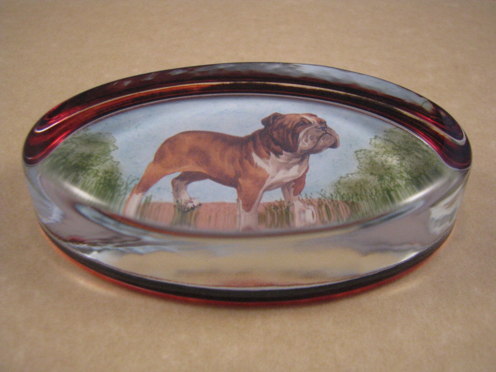 Bulldog Oval Glass Paperweight, Dog Portrait - Etsy