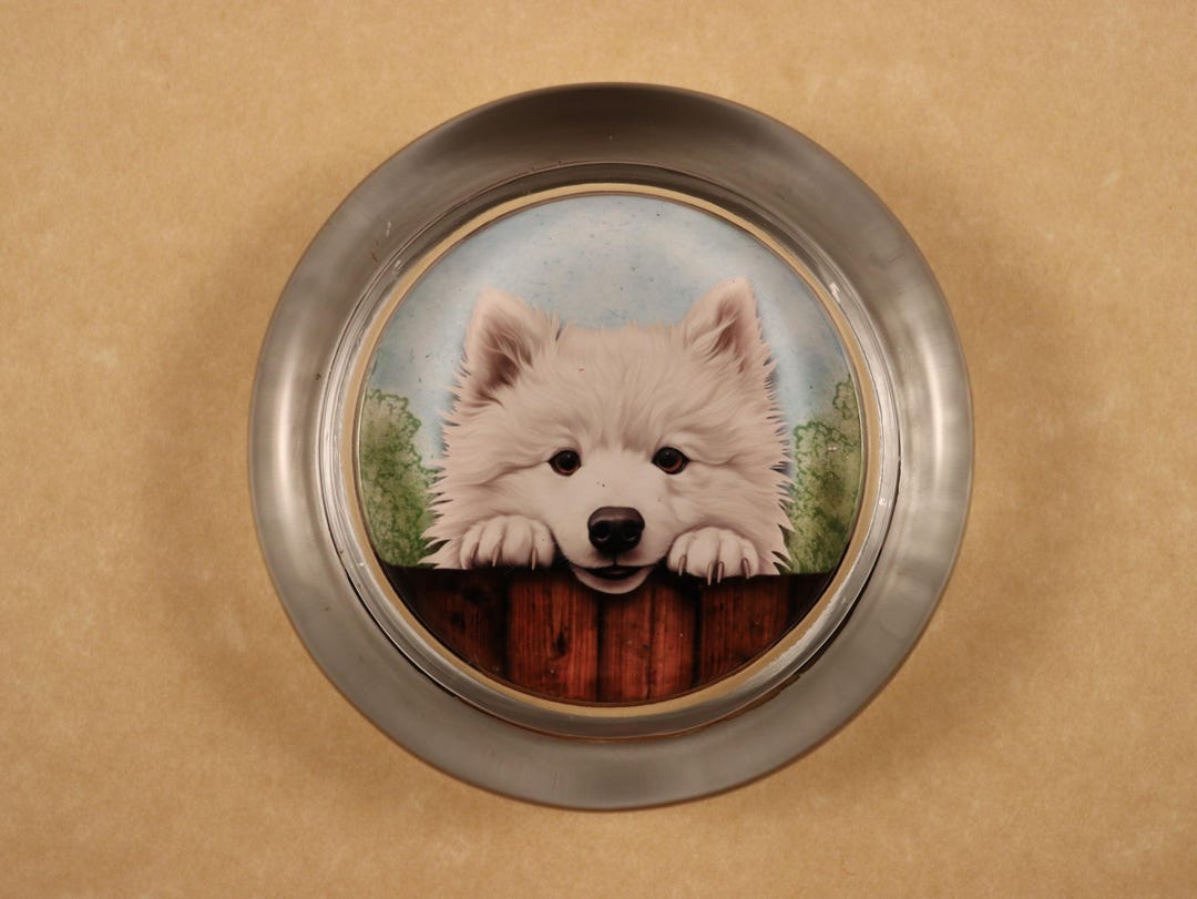 Samoyed Paperweight, Samoyed Portrait, Dog Paperweight, Glass ...