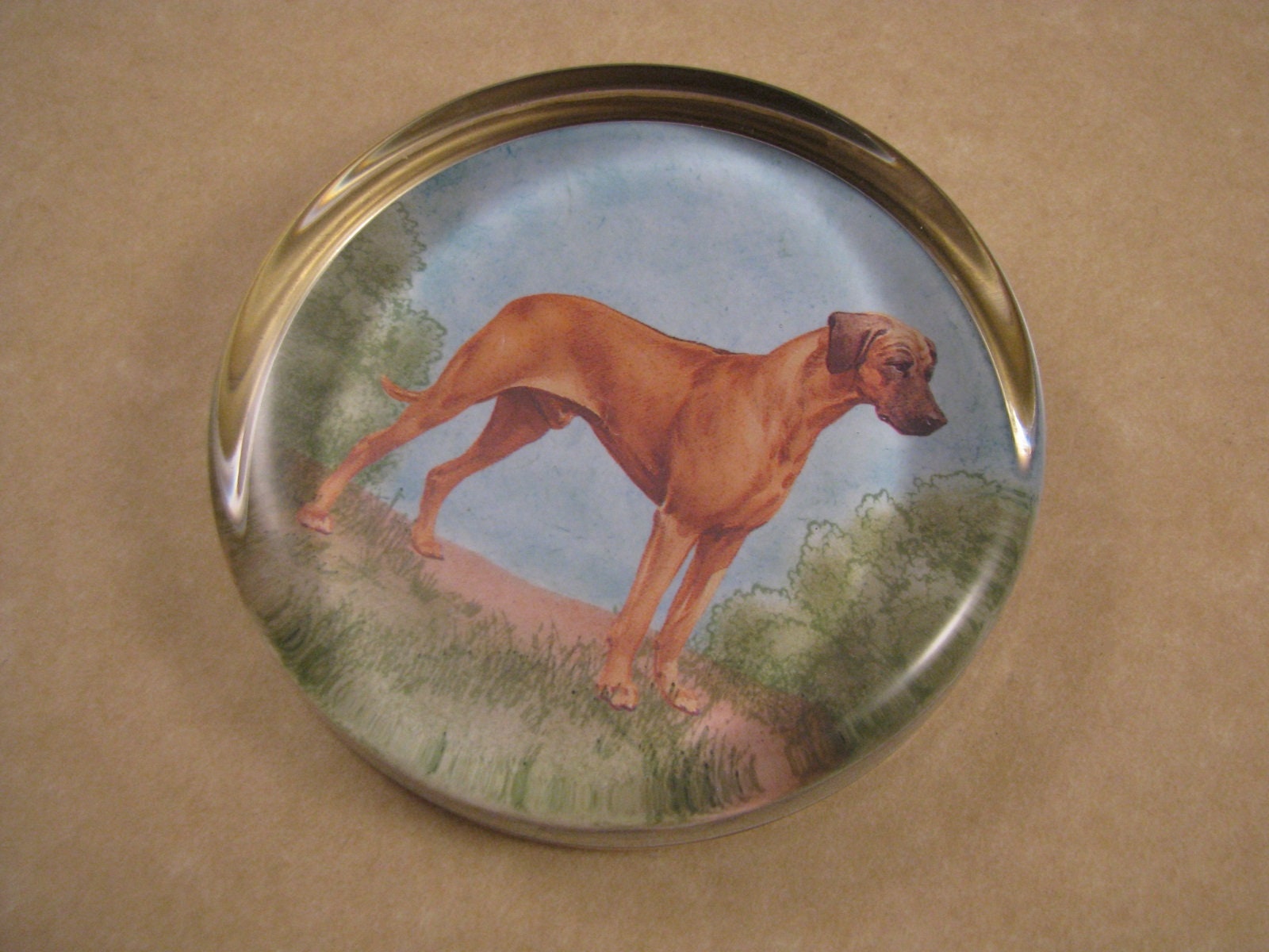 Glass Paperweight Dog Paperweight Large Round Ridgeback Portrait Desk ...