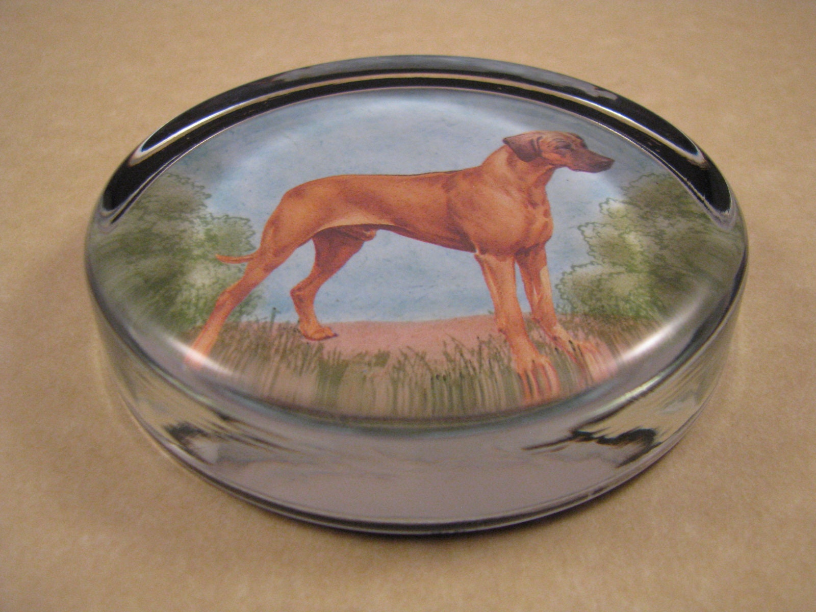 Glass Paperweight Dog Paperweight Large Round Ridgeback Portrait Desk ...