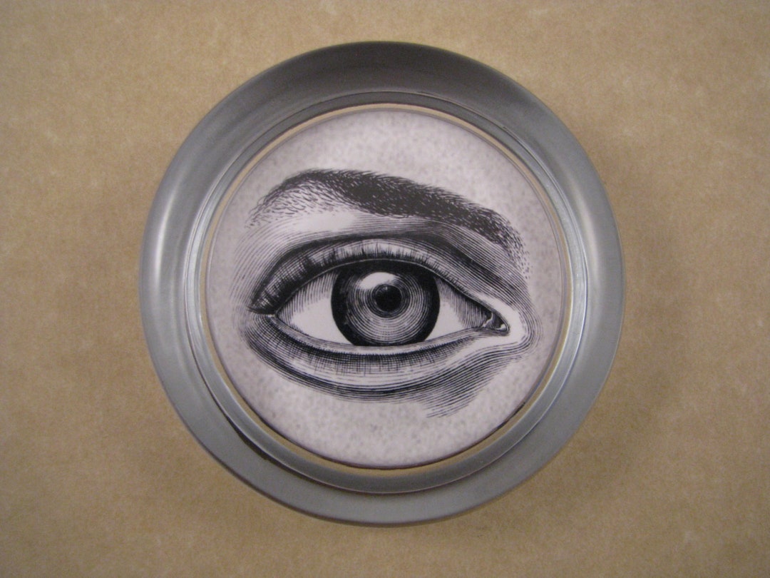 Left Eye Paperweight, Eye Art, Eye Illustration, Glass Paperweight ...