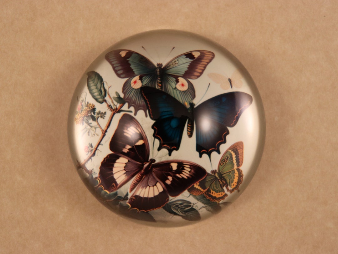 Multi-colored Butterfly Paperweight, Butterfly Lover, Insect ...