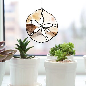 Stained Glass Sand Dollar Pattern, Beginner DIY Window Decor (digital ...