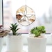 Stained Glass Sand Dollar Pattern, Beginner DIY Window Decor (digital ...