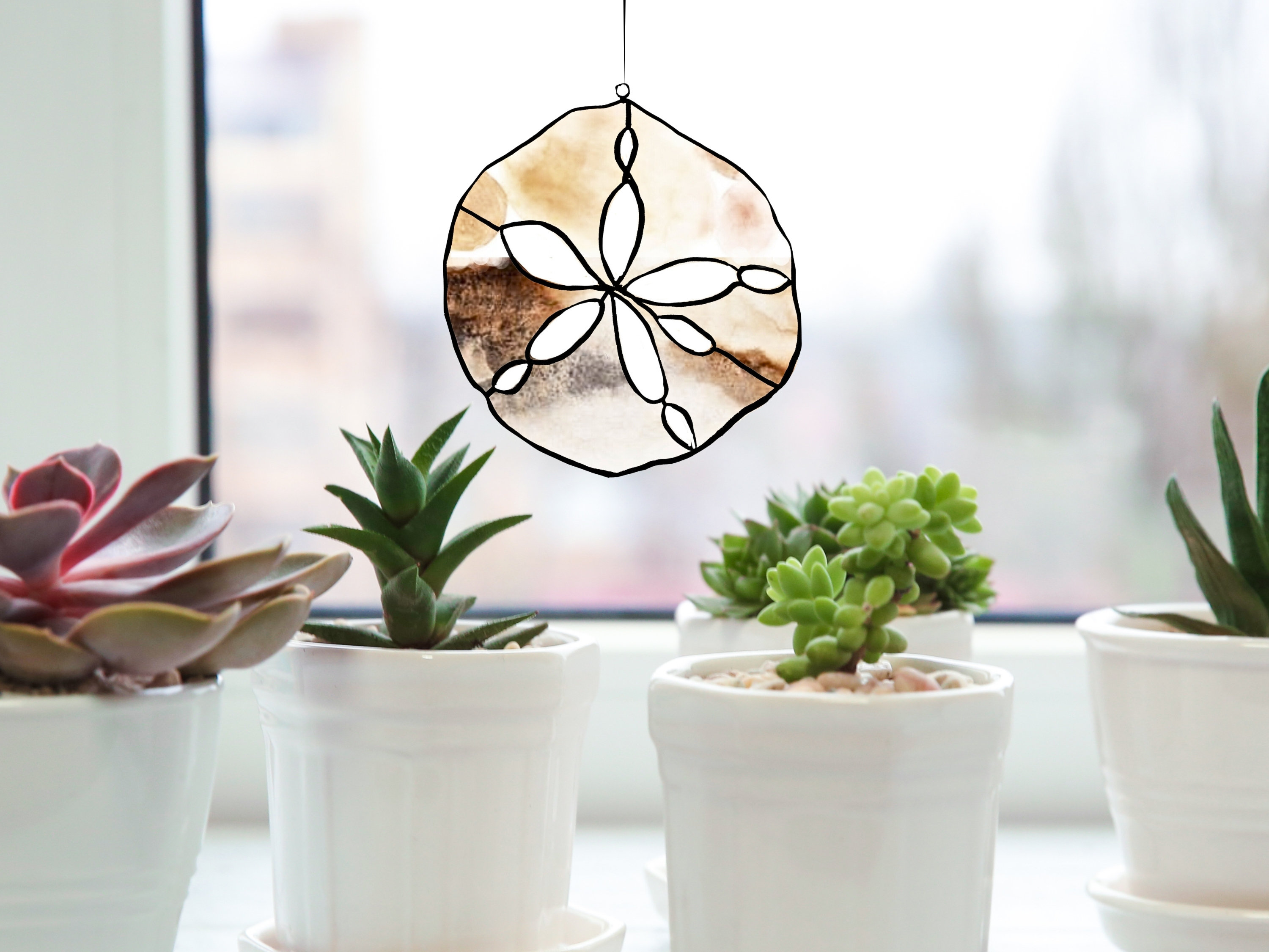 Stained Glass Sand Dollar Pattern, Beginner DIY Window Decor (digital ...