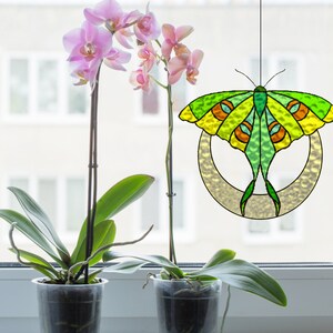Stained Glass Luna Moth Digital Pattern, Window Decor, Celestial Decor ...
