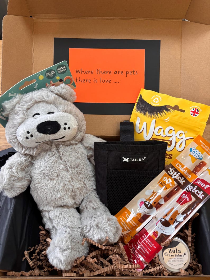 Dog Hamper the Bear Box - Etsy UK