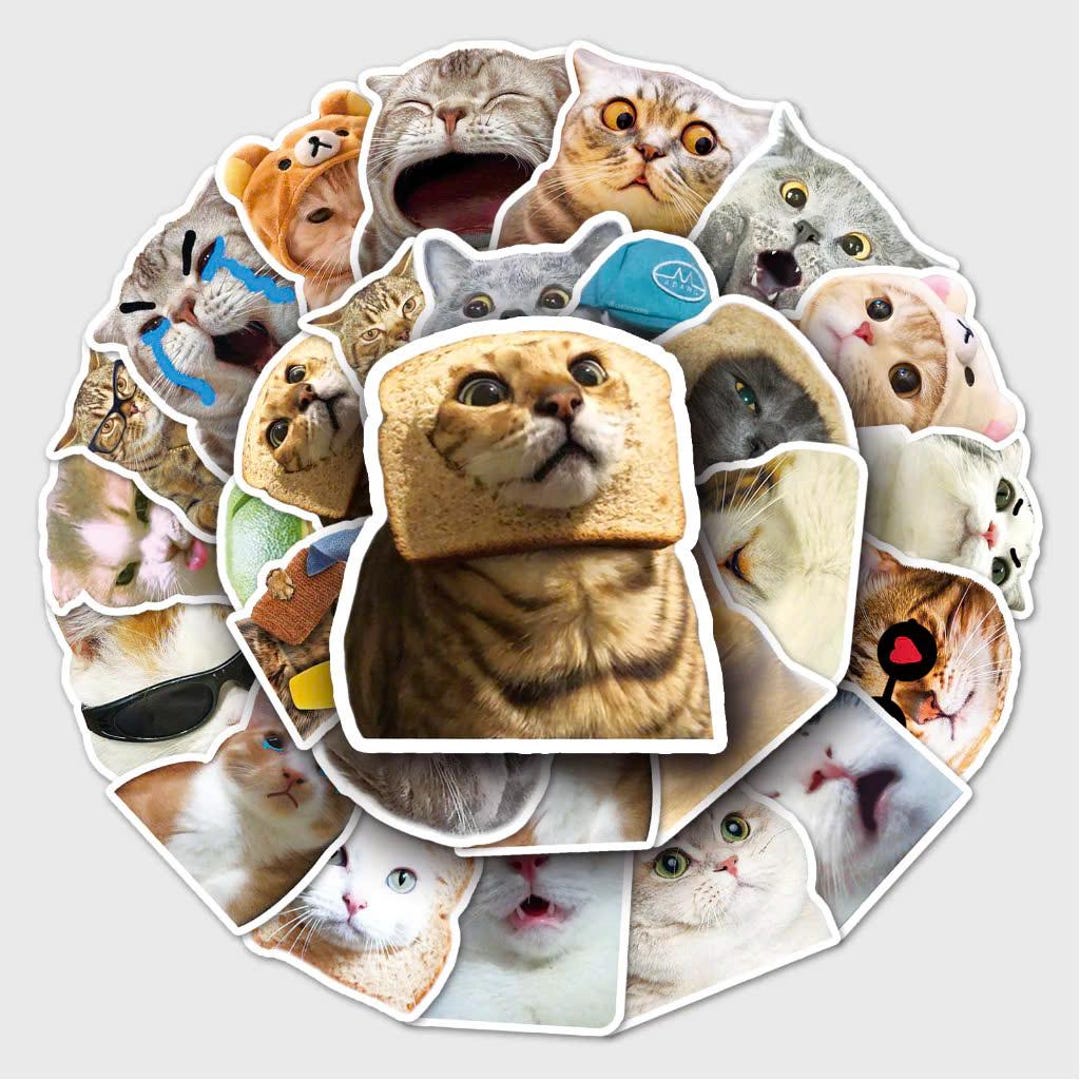 Funny Cat Meme Sticker Pack Hilarious Cat Faces, Cute and Quirky ...
