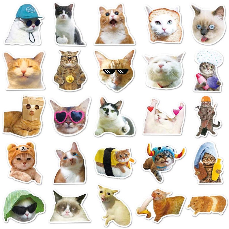 Funny Cat Meme Sticker Pack Hilarious Cat Faces, Cute and Quirky ...