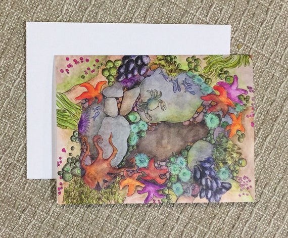 Tide Pool Illustrated Greeting Card - Etsy