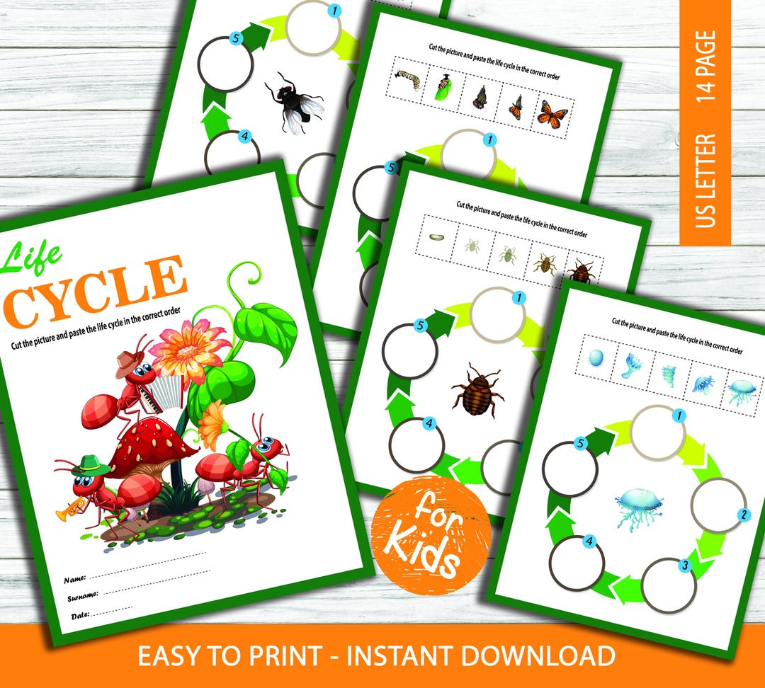 Life Cycle Printable Worksheet, Biology for Kids, Life Cycles, Science ...
