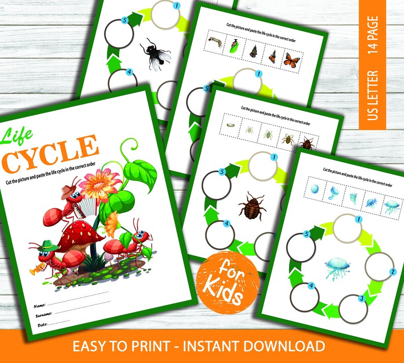 Life Cycle Printable Worksheet, Biology for Kids, Life Cycles, Science ...