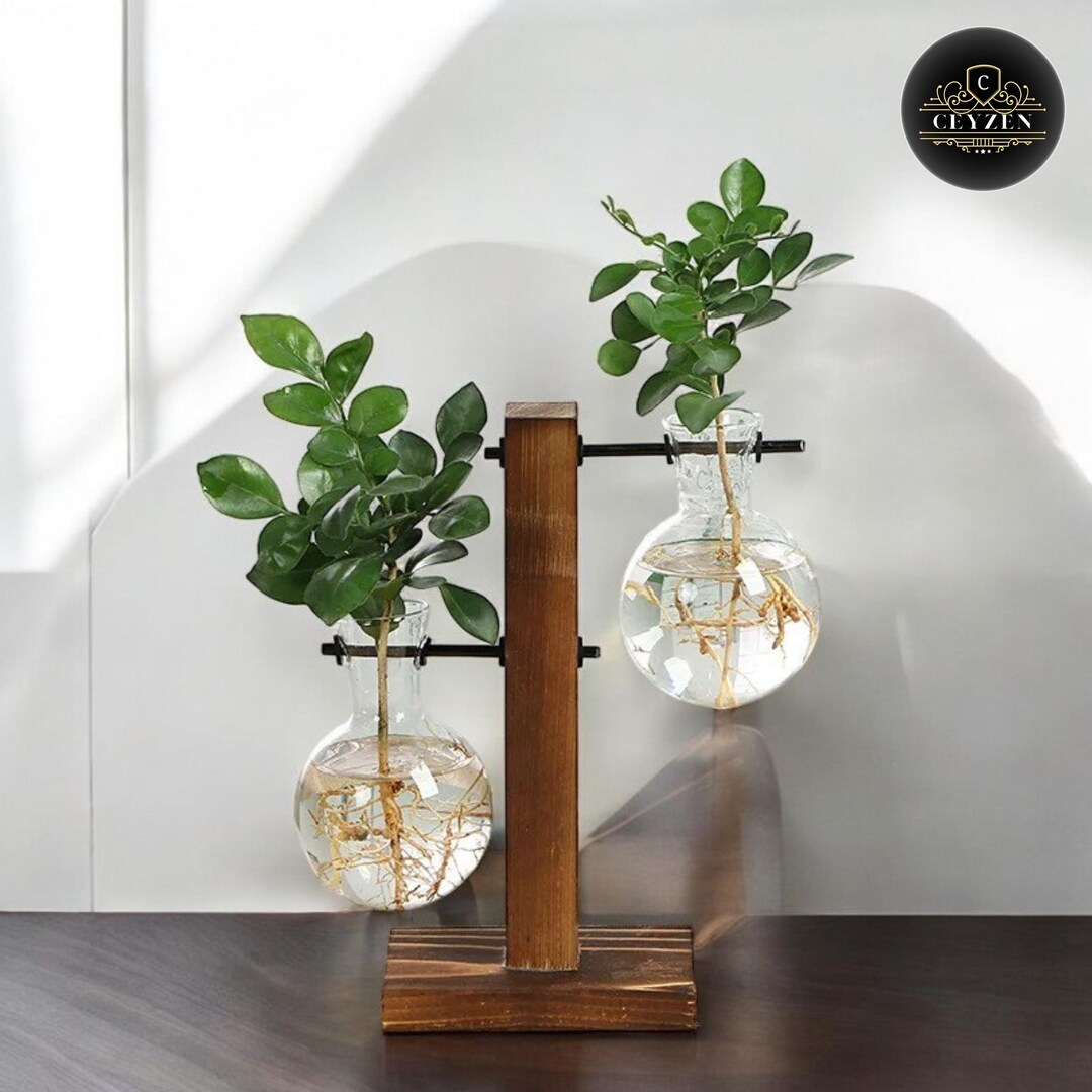 Vintage Terrarium Hydroponic Planter Vase With Wooden Glass Plant Pot ...