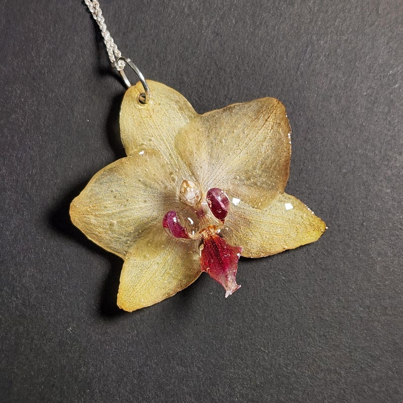 OrchidRoyale - Etsy