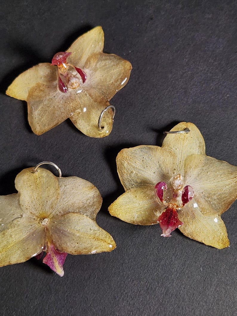 Real Orchid Resin Pendant: Handmade Botanical Flower Necklace - Etsy