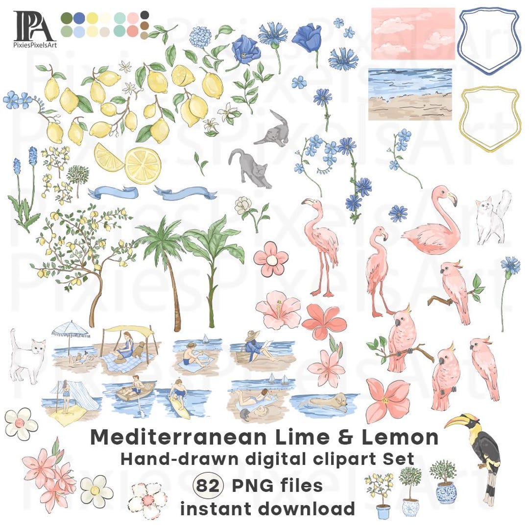 Digital Hand-drawn Clipart Set Consists of Mediterranean Lime & Lemon ...