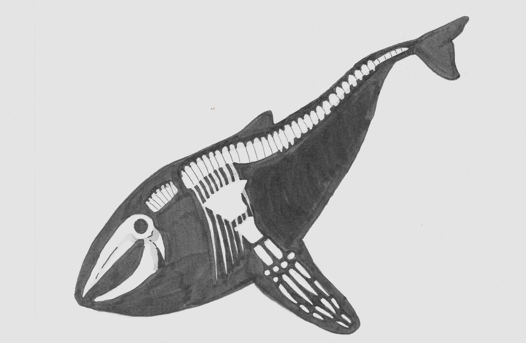 Whale Skeleton Wall Art Unique and Gothic Ocean Animal Downloadable Art ...