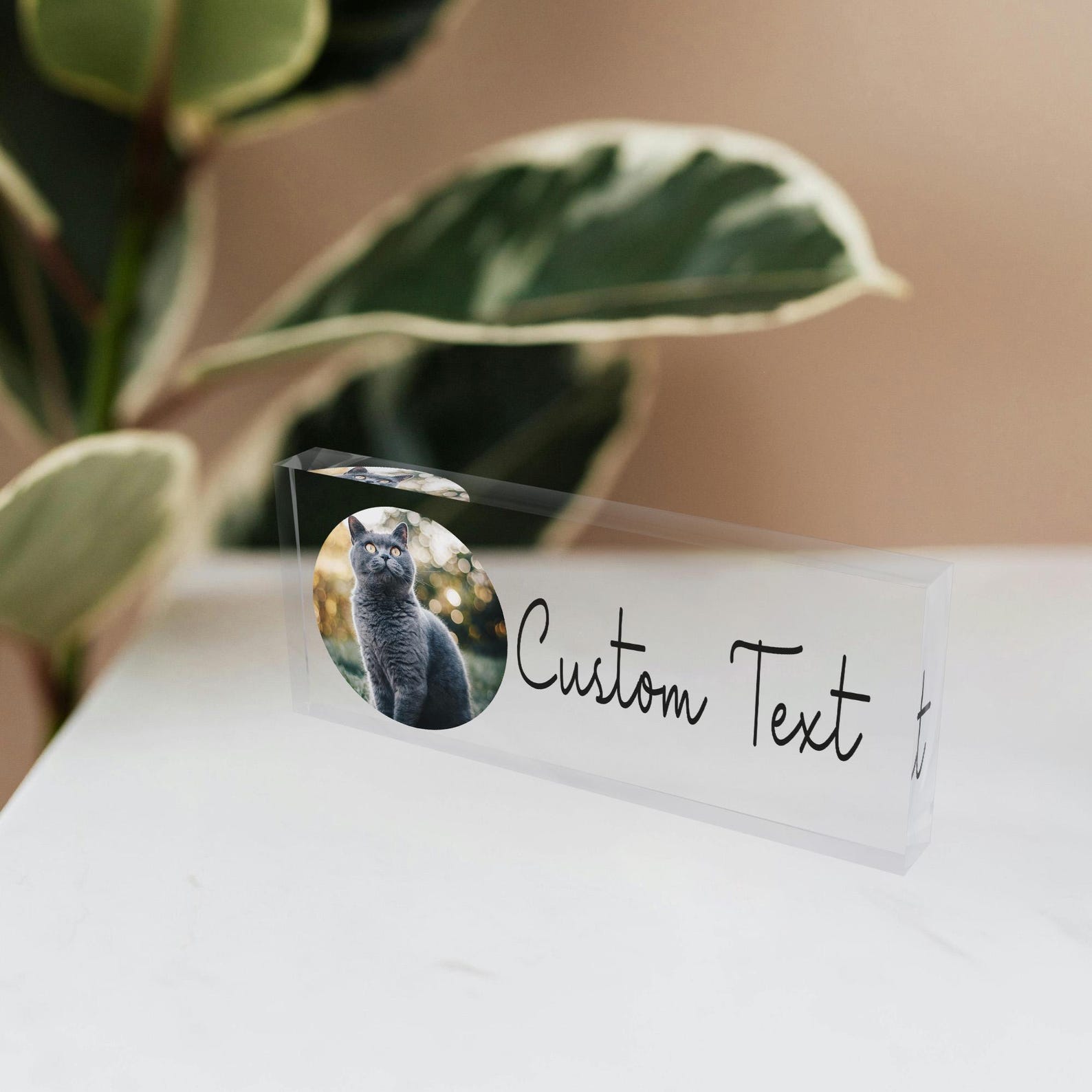 Personalized Pets Desk Name Plate, Acrylic Plaque, Animal Lover Gift ...