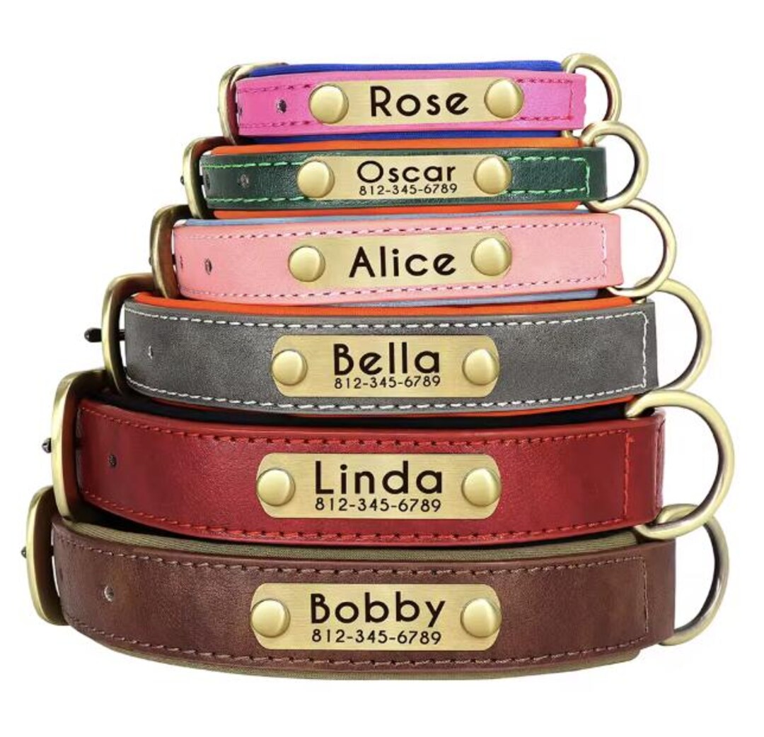 Customized Leather ID Nameplate Dog Collar Soft Padded Dogs Collars ...