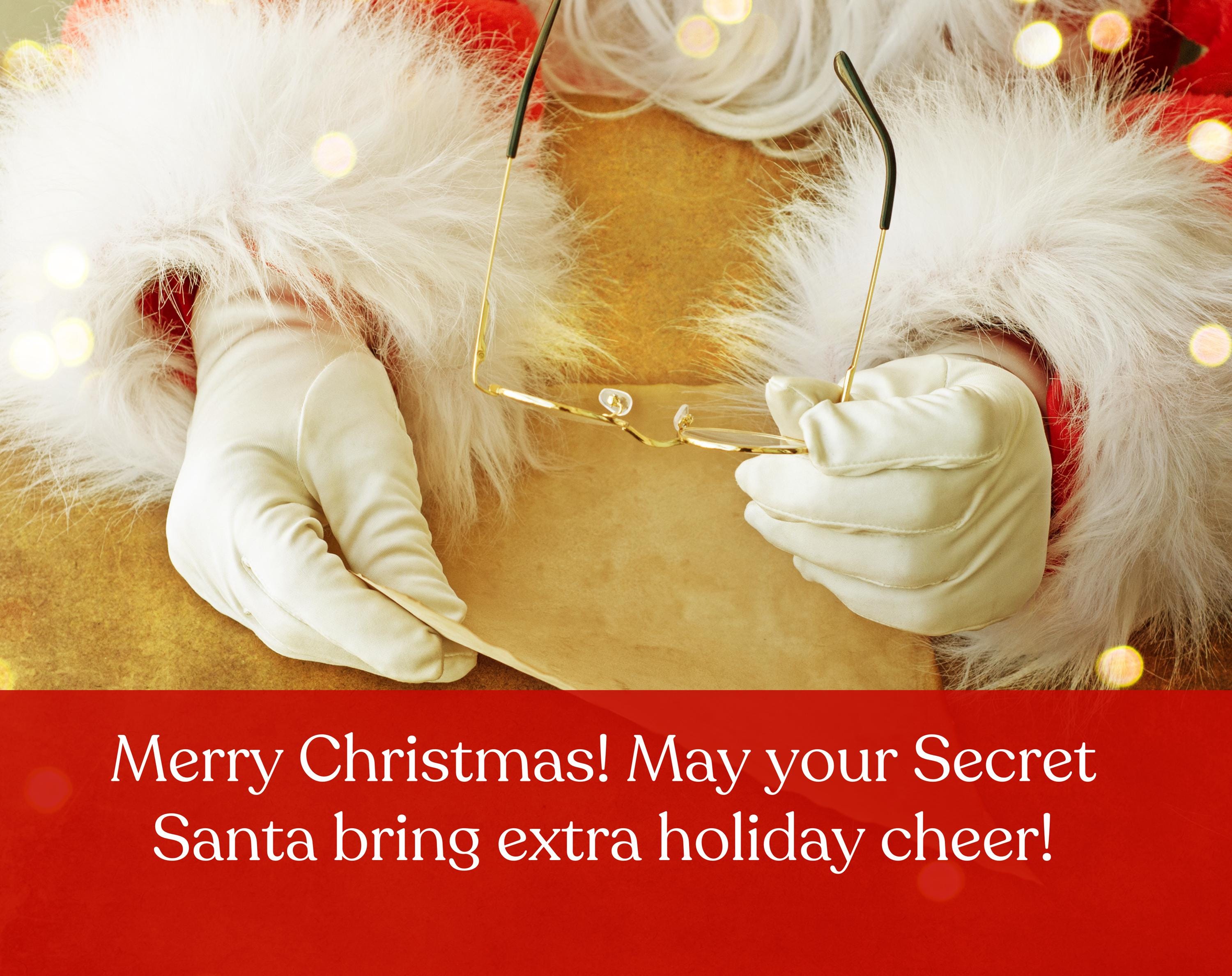 Secret Santa Questionnaire for Coworkers, Secret Santa List, Printable ...