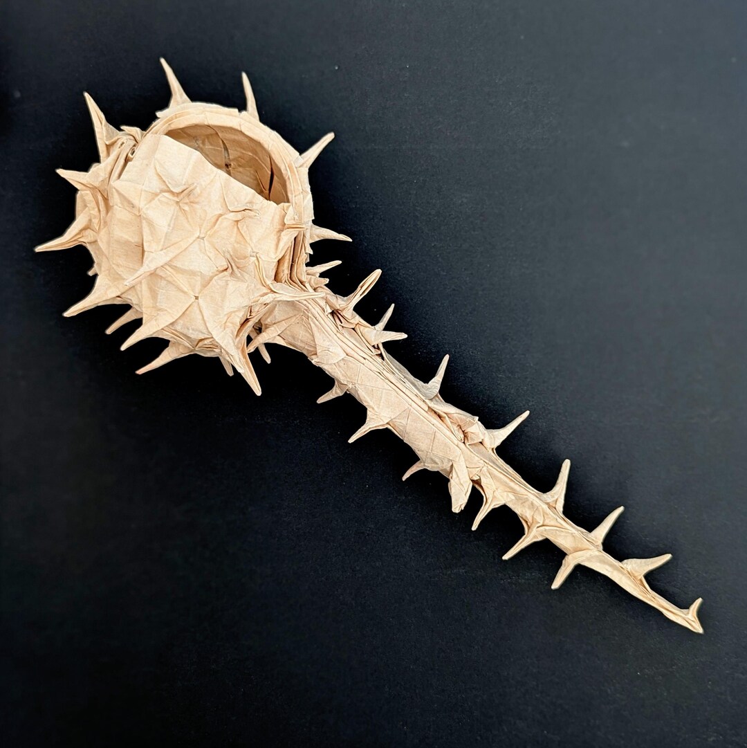 020 Venus Comb Murex, Sea Shell With 30+ Spines, Handmade Original ...