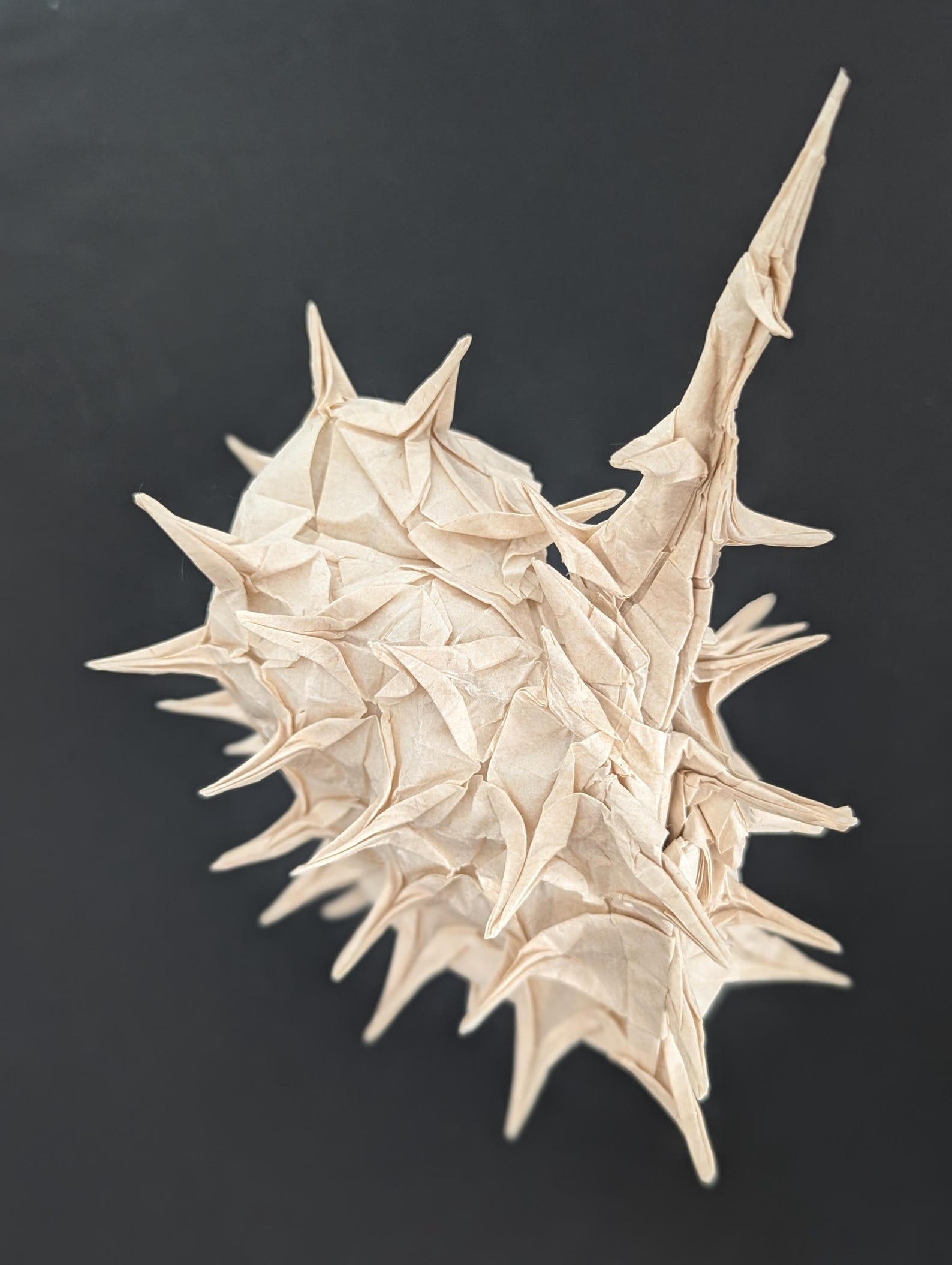 Murex Sea Shell With 30+ Spines, Handmade Original Origami, Shell #017 ...