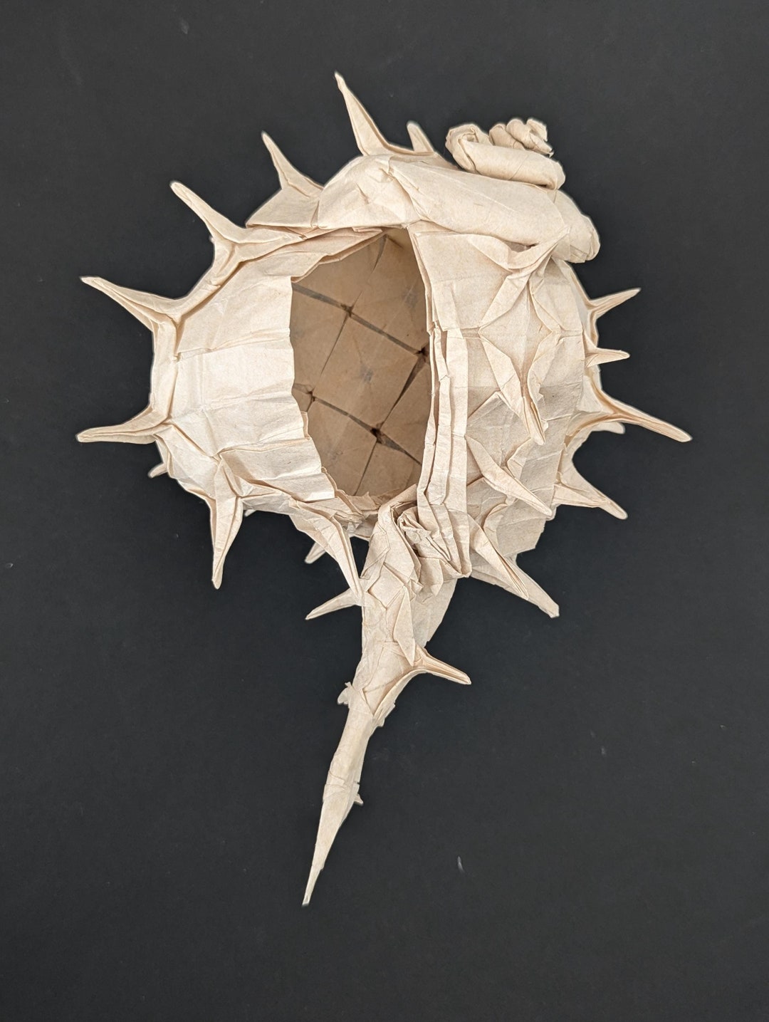 Murex Sea Shell With 30+ Spines, Handmade Original Origami, Shell #017 ...
