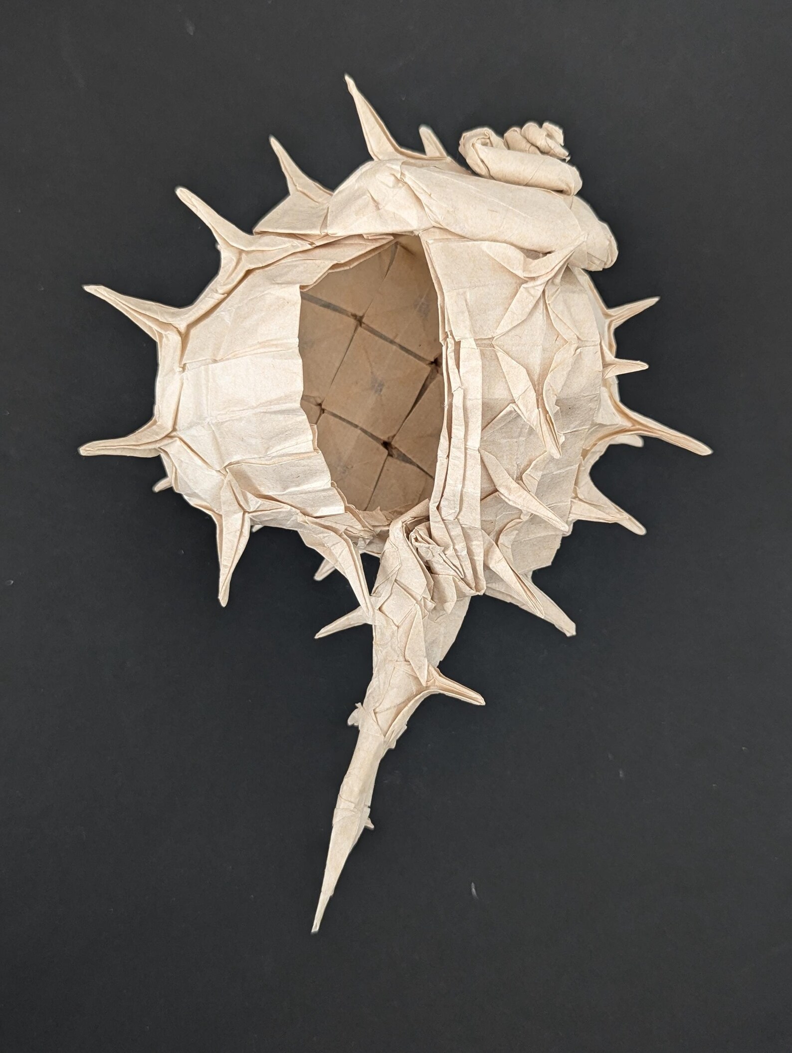 Murex Sea Shell With 30+ Spines, Handmade Original Origami, Shell #017 ...