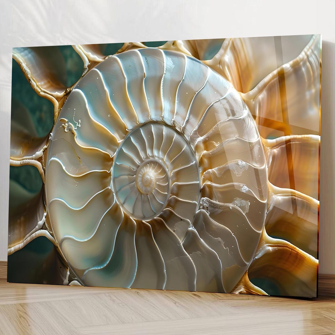 Tempered Glass Nautilus Shell Wall Art, Coastal Marine Decor - Etsy