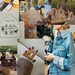 Fall Vision Board/desktop Wallpaper/mood Board - Etsy