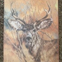 Jim Hansel Resting Place Deer Buck Art Print-21 X 17 - Etsy