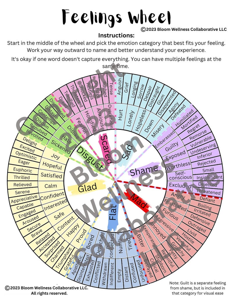 Feelings Wheel for Group Practice group License Option - Etsy