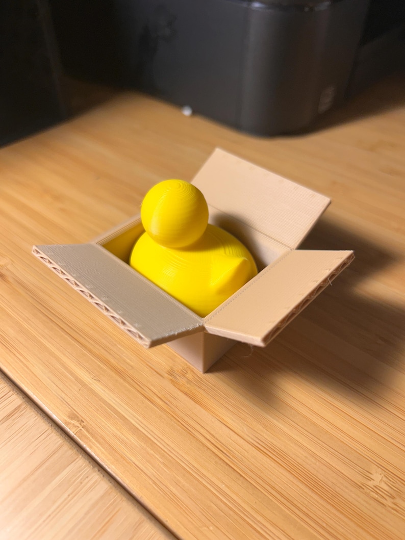 CUSTOM Package Duck, Cardboard Box Duck, Box Duck, Ducky - Etsy