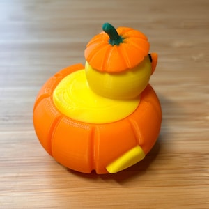 Pumpkin Duck, Duck Wearing a Pumpkin, Ducky in a Pumpkin, Cute ...