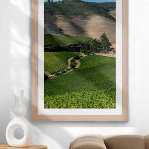 Douro Valley Vineyard Photograph | Stunning Landscape Art, Wine Country ...